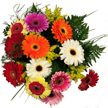 Gerbera Explosion Bouquet | Bouquets to Saudi Arabia